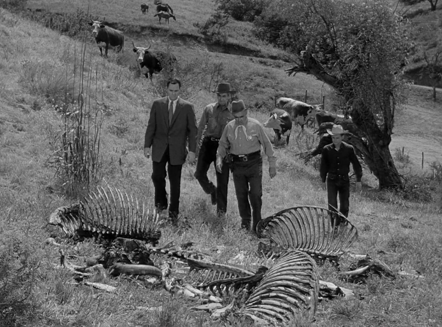 Tarantula (1955) | Sci-Fi Saturdays