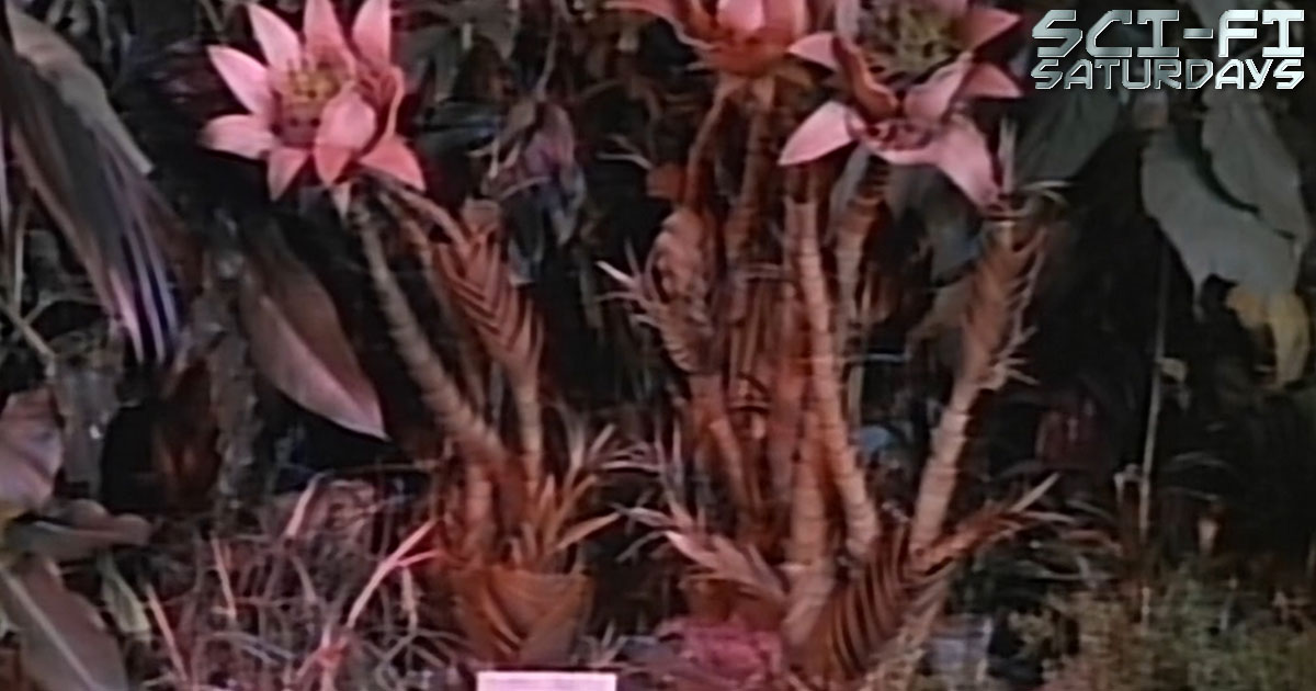 The Day of the Triffids (1962) | Sci-Fi Saturdays | RetroZap